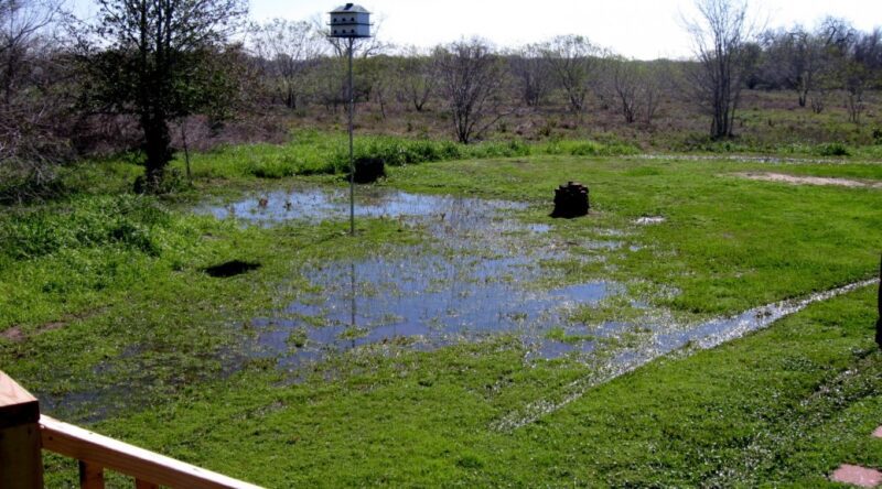 UNDERSTANDING WEEPING TILE SYSTEMS - The City Wide Group